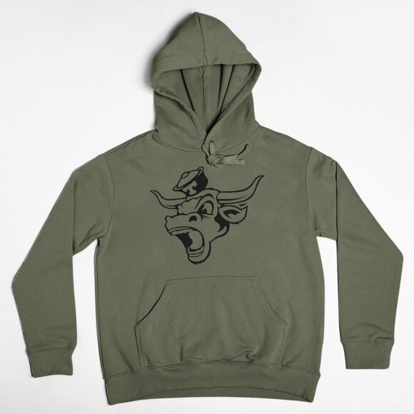 Team Fans | Shirts | New Texas Longhorns Bevo Redux Logo Pullover ...